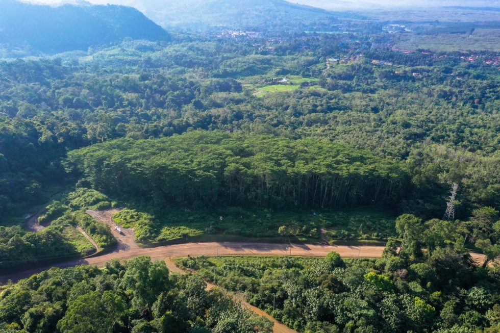 Batangtoru Forest, The Lungs and Gems of Tapanuli - Agincourt Resources