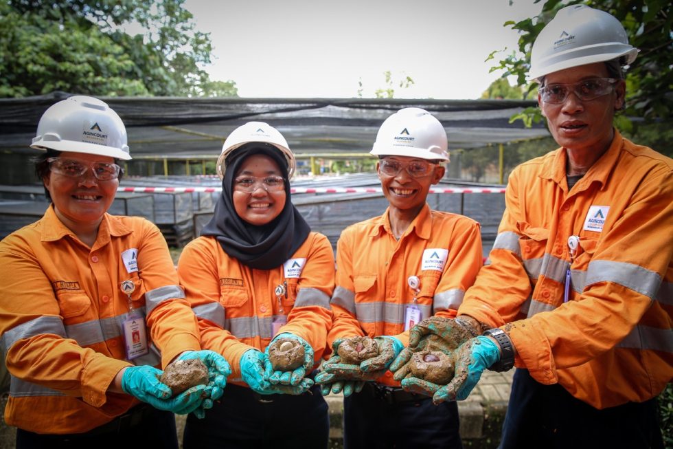 Menumbuhkan Pohon, Menjaga Keanekaragaman Hayati - Agincourt Resources